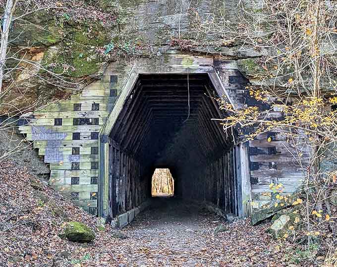 King's Hollow Tunnel stands like a time portal in the forest, its wooden frame a testament to 19th-century engineering and determination.