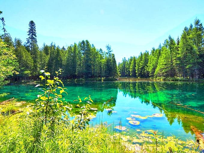 Kitch-iti-kipi's emerald waters reveal an underwater world so clear you'll wonder if someone's been polishing the spring every morning.