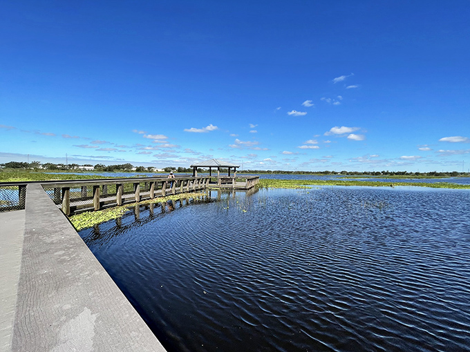 Reflections dance across the tranquil waters, where boardwalks invite visitors to venture into wetland worlds without getting their feet wet.