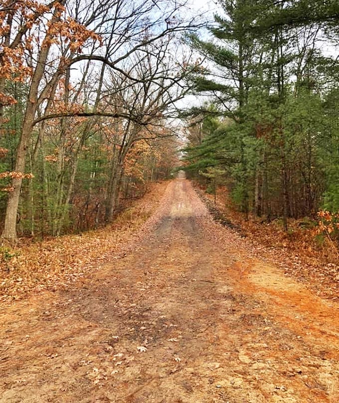 Nature's reclamation project in progress &ndash; autumn leaves carpet this lonely path where lumber wagons once traveled through bustling Pere Cheney.