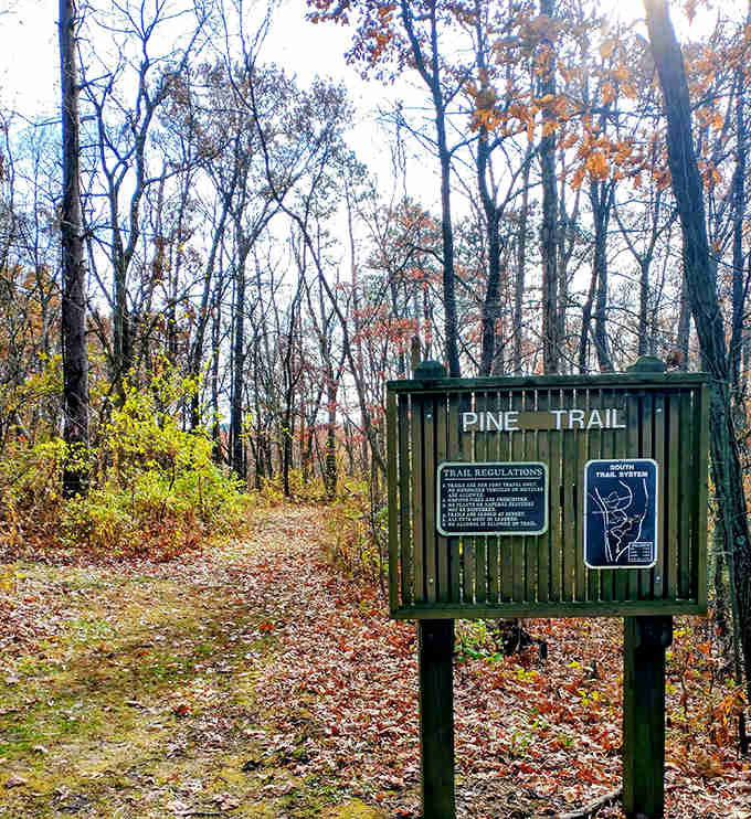 Pine Trail beckons adventurers through a tunnel of autumn foliage, where every step crunches with nature's confetti.