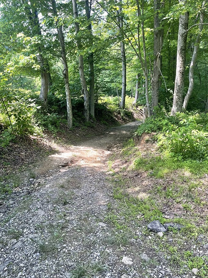 This trail doesn't just lead somewhere; it takes you on a journey through time, where each step reveals another chapter of Earth's story.