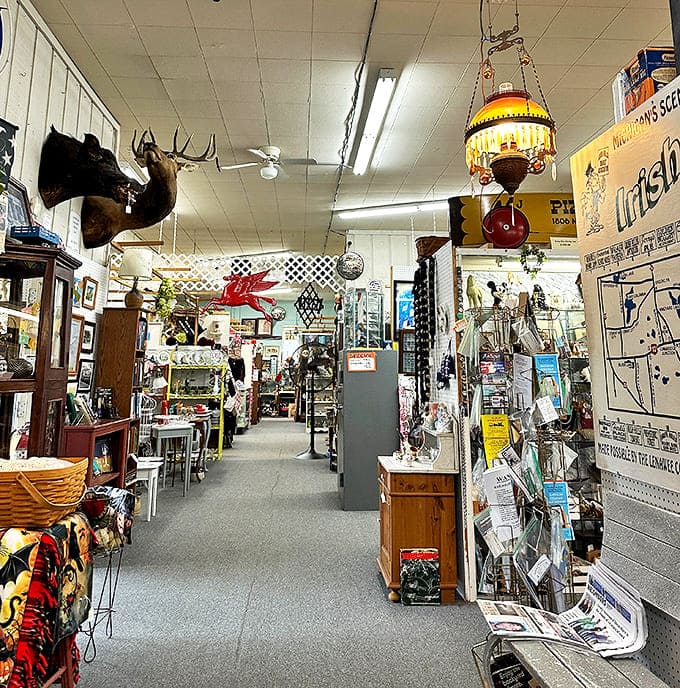 Step into this labyrinth of memories where every aisle promises adventure. That mounted deer head has seen things you wouldn't believe.