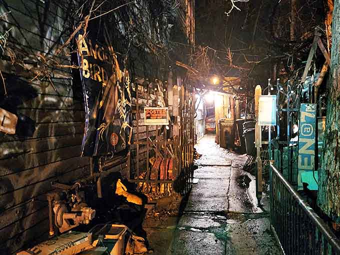 Narrow passages lead visitors through a labyrinth of oddities, where every turn reveals new mysteries and mechanical curiosities.