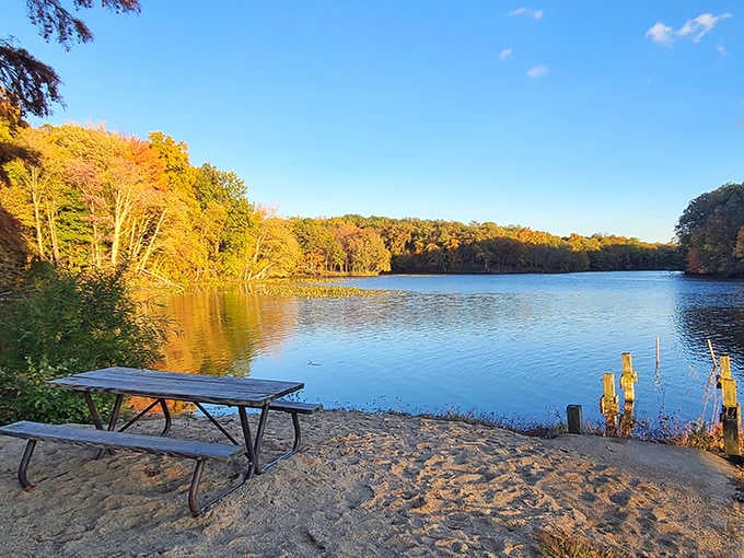 Autumn's golden hour transforms this lakeside spot into nature's perfect postcard – complete with a picnic table for contemplative moments.
