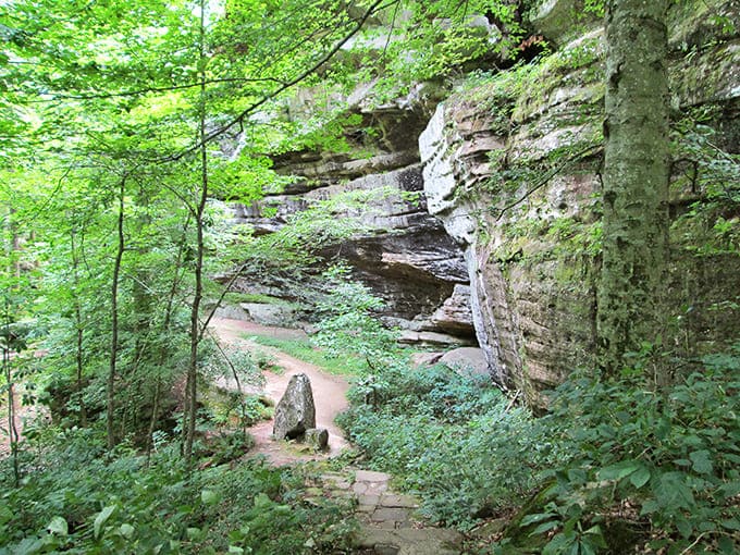 Sandstone bluffs tower overhead like nature's own architecture, proving that millions of years of erosion creates better designs than most humans ever could. Photo credit: Cary Allen aka - Old Goat in the Woods
