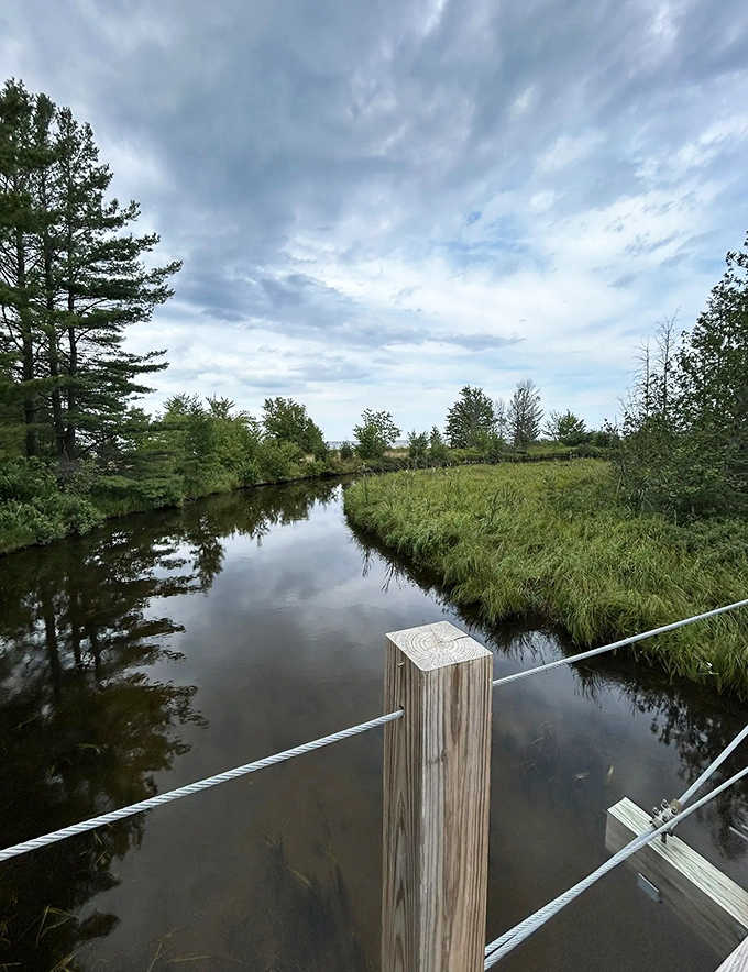 Reflections dance on the calm river waters, creating nature's own mirror that doubles the beauty of Michigan's northern wilderness.