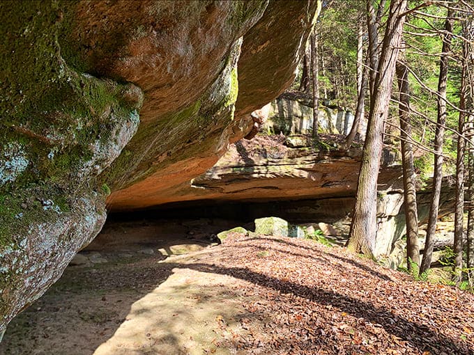 Rock shelter perfection: Centuries of patient erosion have carved this natural sanctuary where light plays across the sandy floor in ever-changing patterns.