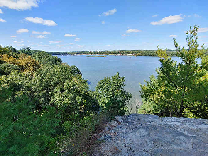 The Illinois River stretches into the horizon like a blue ribbon unwrapped by Mother Nature herself &ndash; worth every step of the hike.