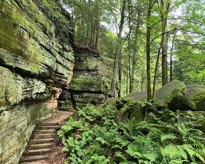 Ancient sandstone walls frame the path, their moss-covered surfaces telling stories of millennia gone by.
