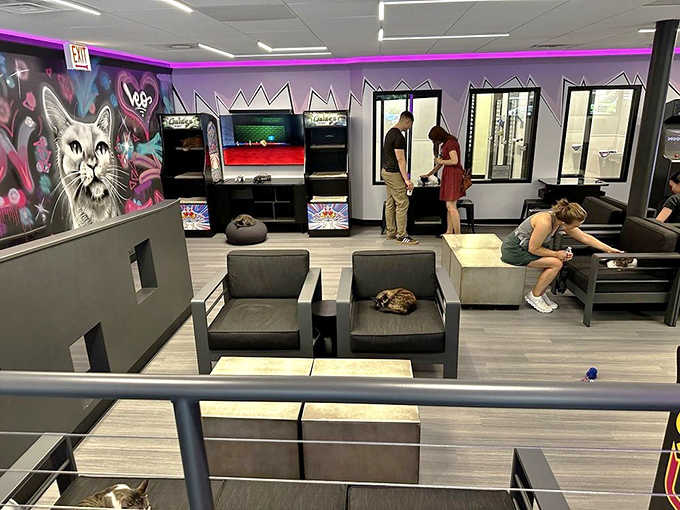 Modern meets playful in this thoughtfully designed lounge where sleek furniture, purple accent lighting, and cat-friendly spaces create the perfect hangout for humans and felines alike.