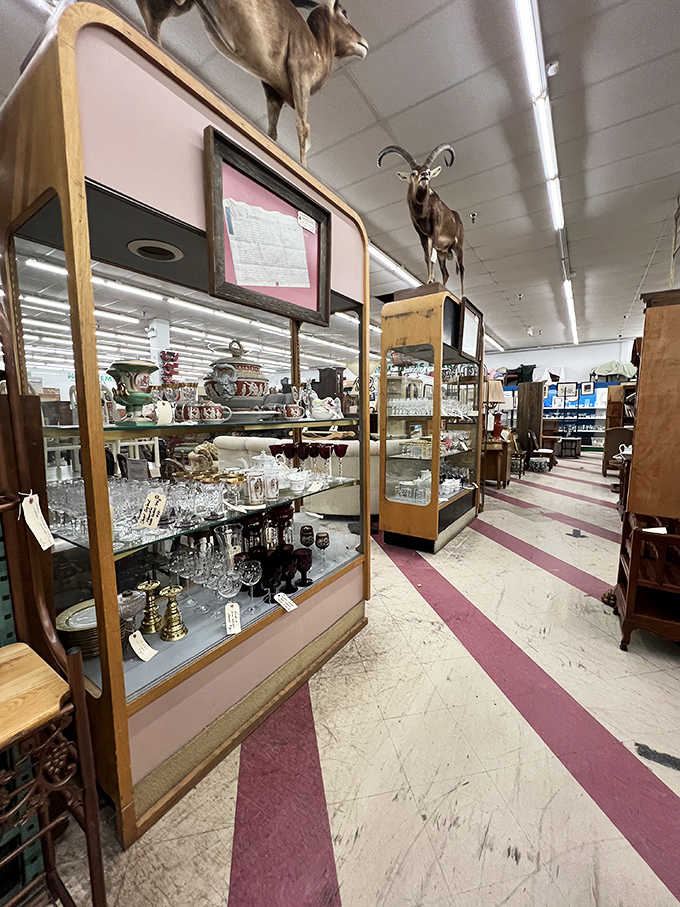 Taxidermy watches over vintage display cases filled with treasures &ndash; where else can you shop for crystal under the watchful gaze of woodland creatures?