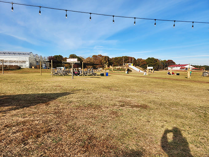 The playground equipment and open spaces prove that farm fun isn't just about the flowers, though they certainly steal the show.