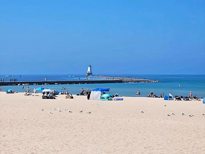 White sand stretches as far as the eye can see, inviting bare feet and impromptu naps under Michigan's sometimes-generous sun.
