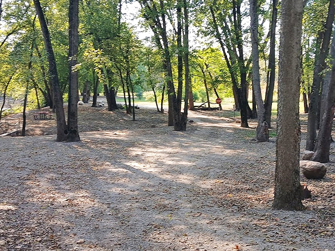 Dappled sunlight filters through the trees, creating a deceptively peaceful setting around this haunted Illinois landmark.