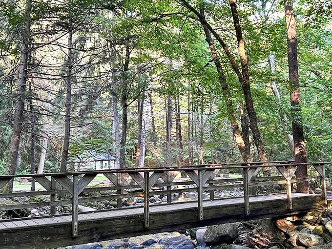 This wooden bridge isn't just crossing water &ndash; it's crossing from the world of deadlines into the realm of deep breaths and birdsong.