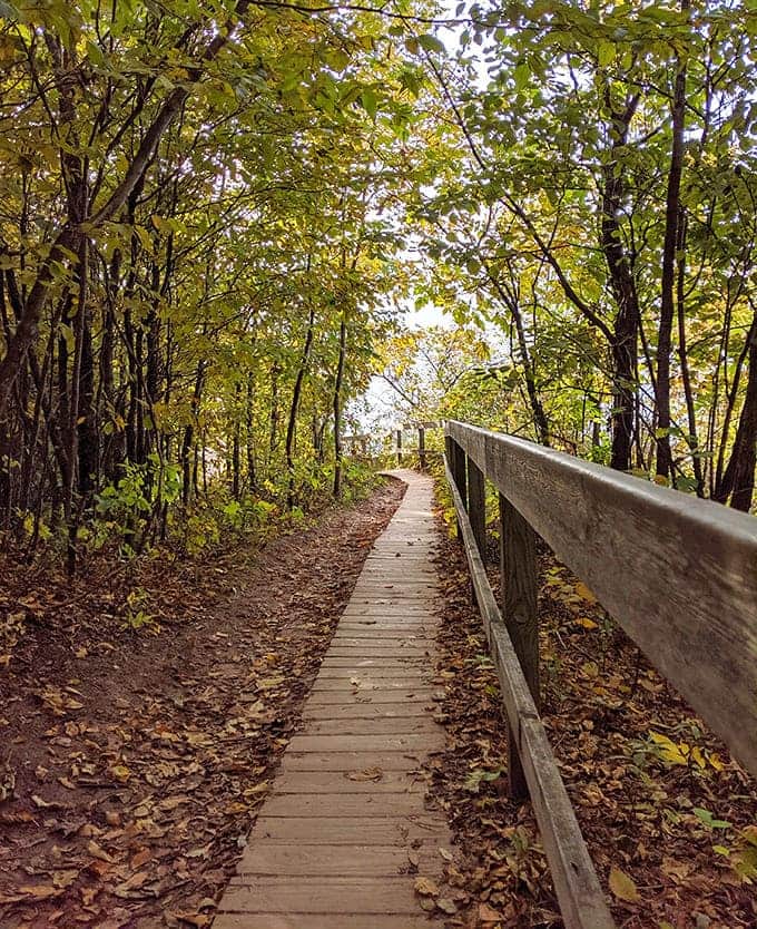 These wooden pathways guide you through the dunes like nature's own red carpet, minus the paparazzi but with infinitely better scenery.