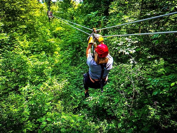 Suspended between earth and sky, a zipline adventurer carves through the emerald canopy like a human shooting star.