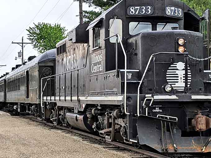 The Illinois Central #8733 stands proud in its midnight black livery, a mechanical titan that once connected communities across the heartland.