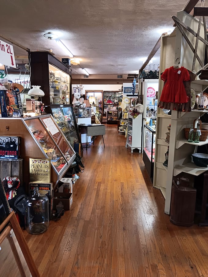 Polished wooden floors guide you through narrow passages where every turn reveals new possibilities and unexpected finds waiting to be discovered.