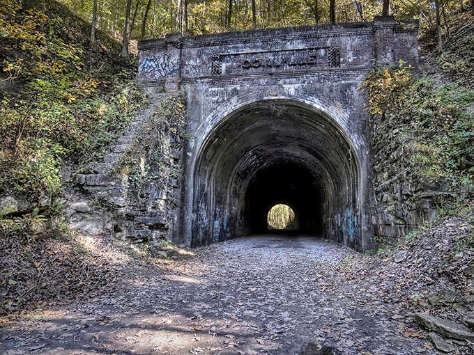 Daylight transforms the creepy tunnel into something almost romantic, though whispers of its past still echo within.