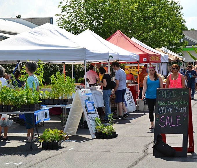 Local farmers and artisans transform ordinary sidewalks into a vibrant marketplace, where conversations flow as freely as the fresh produce changes hands.