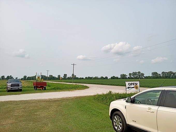 The humble entrance belies the spectacular views ahead &ndash; like finding the door to Narnia in a coat closet, but with more pollen.