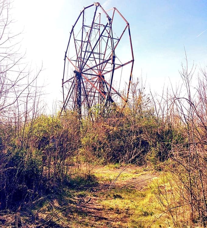 This ferris wheel hasn't turned since the 1970s, yet somehow it's more captivating now&mdash;a metal skeleton embraced by persistent vegetation.