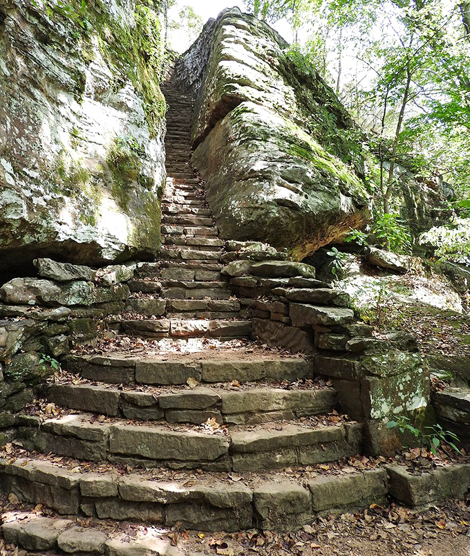 These historic stone steps, built by the Civilian Conservation Corps during the Depression, have withstood decades of footsteps and weather.