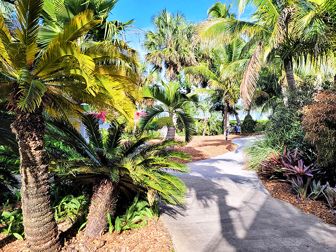 Inside the Garden: Meandering pathways lead visitors through dense foliage where sunlight filters through palm fronds, creating nature's own light show.