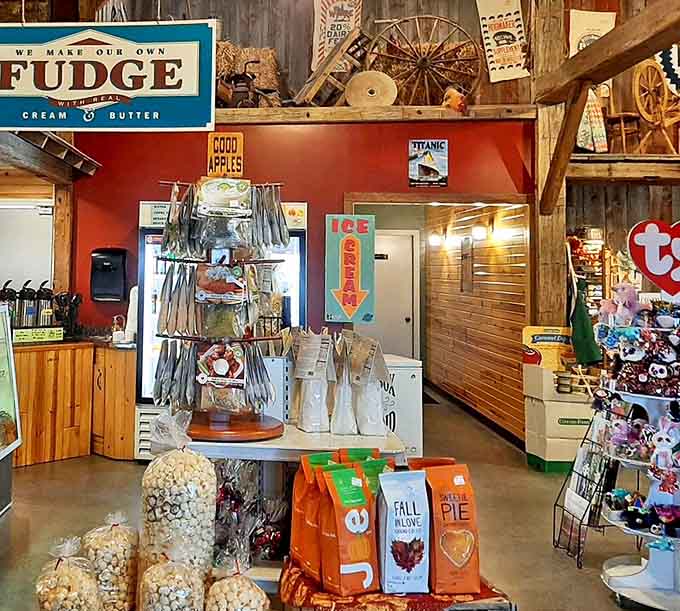 Step inside and prepare for chrome overload in the best possible way, where vintage beauties shine under lights like Hollywood stars.