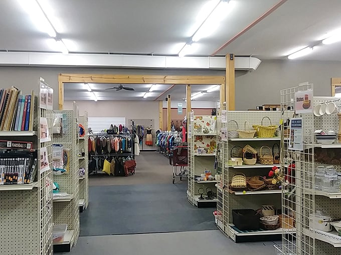 Organized chaos at its finest &ndash; aisles of possibility where yesterday's items await tomorrow's adventures.