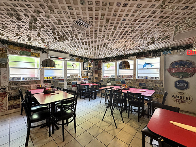 License plate heaven! The interior walls and ceiling create a road-trip mosaic that'll have you searching for your home state while waiting for conch fritters.