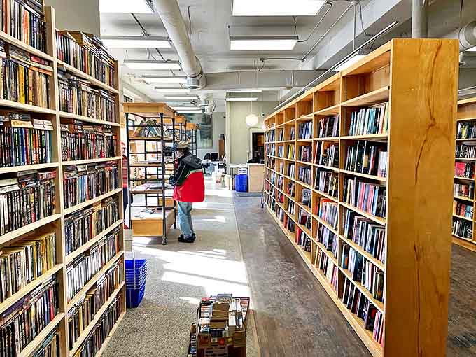Sunlight streams through windows, illuminating wooden shelves packed with countless worlds waiting to be discovered by curious readers.