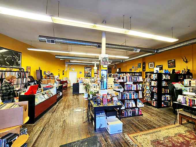 Warm yellow walls and wooden floors create the perfect backdrop for literary exploration, like wandering through someone's incredibly cool attic.