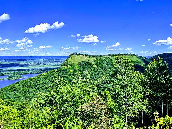 Standing sentinel above the valley, this ancient bluff has witnessed centuries of seasons, its weathered face telling stories only geology professors fully understand.