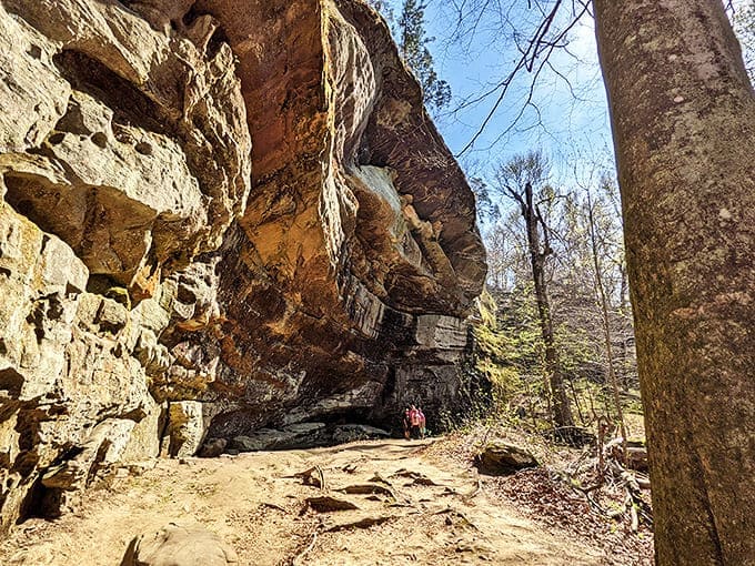 Dramatic rock formations stand like silent sentinels, sculpted by millions of years of wind and water into nature's artwork.