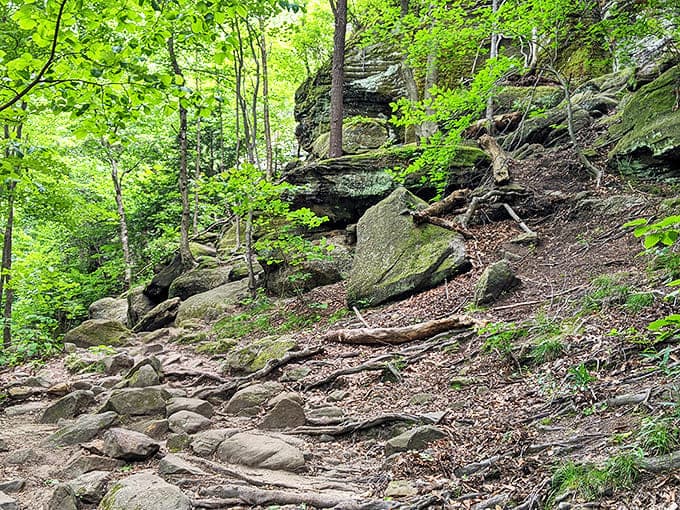 Rocks: Nature's obstacle course reveals itself along the trail, where moss-kissed boulders create a prehistoric playground for hikers of all ages.