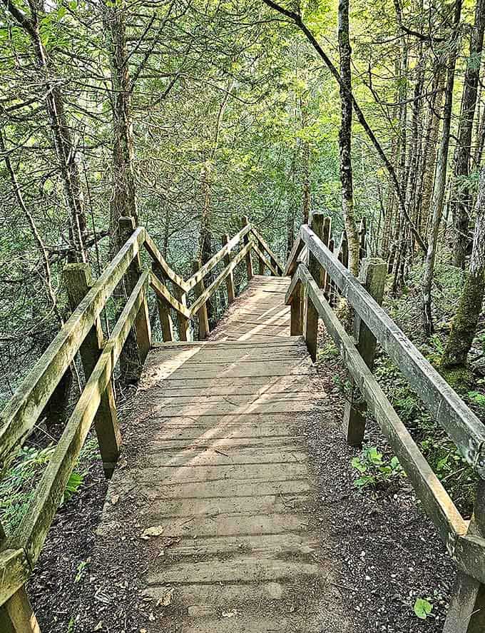 These stairs lead to one of the best views in Michigan, and unlike your StairMaster at home, these actually go somewhere worth the effort.