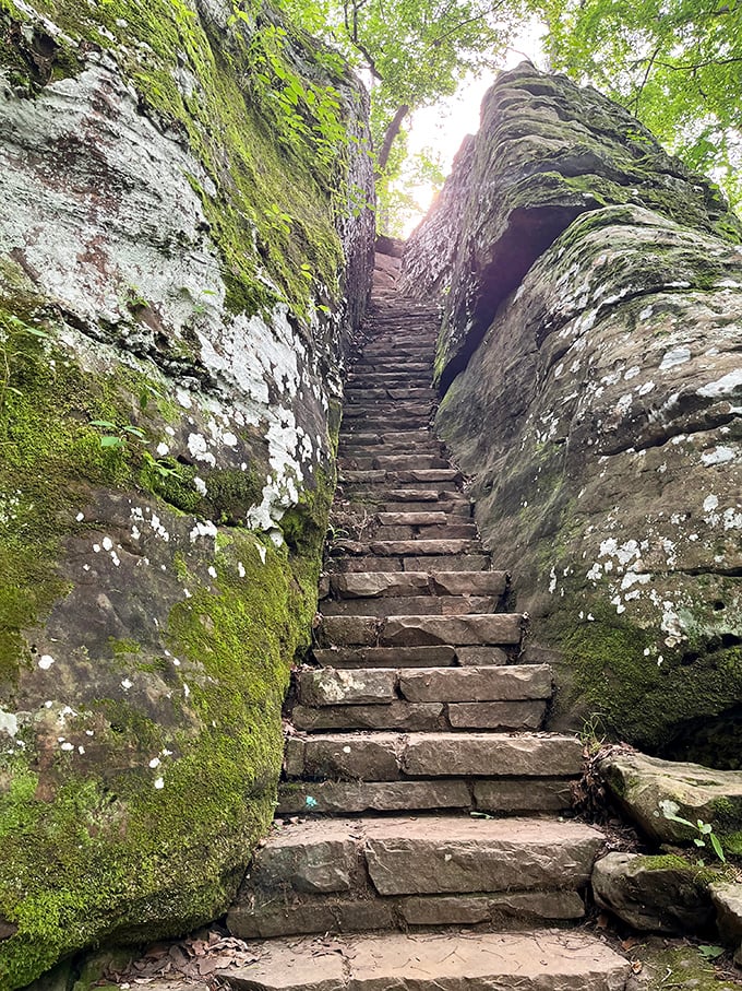 Ancient stone stairway carved by time and footsteps, moss-kissed and mysterious between towering rock walls.