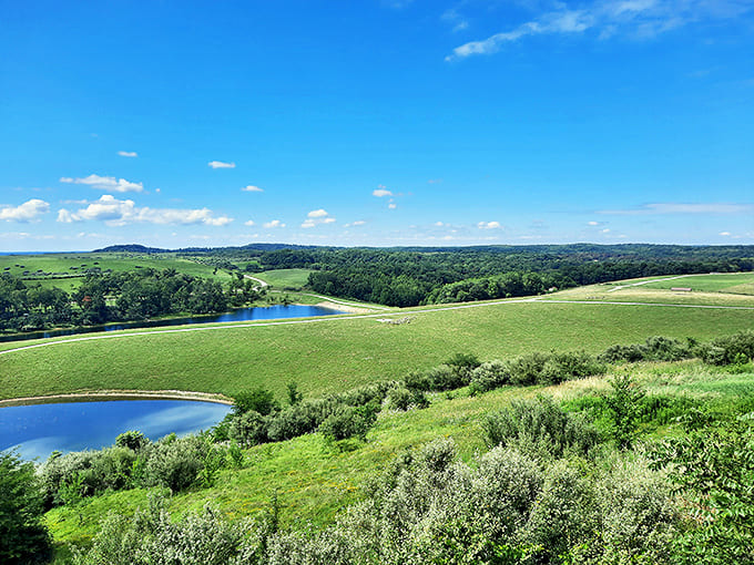 Rolling hills stretch to the horizon at The Wilds, where reclaimed mining land has transformed into a lush paradise. Nature's second chance in full bloom.