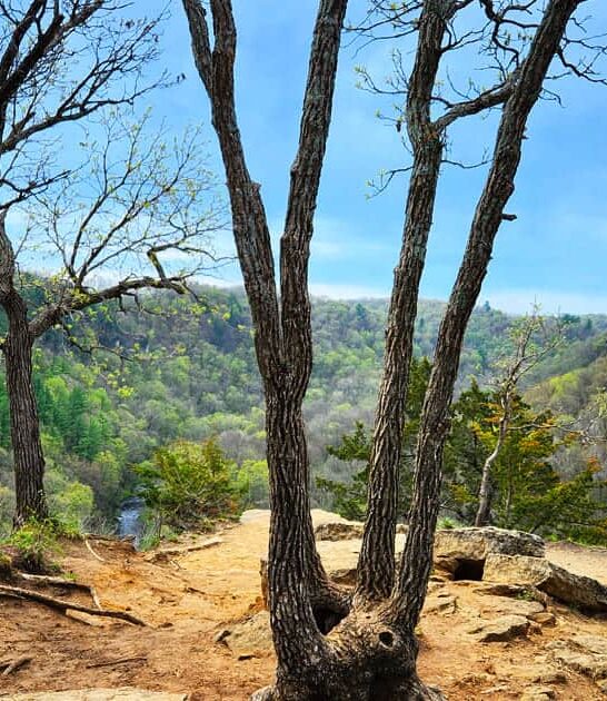 2700 acre park minnesota ftr