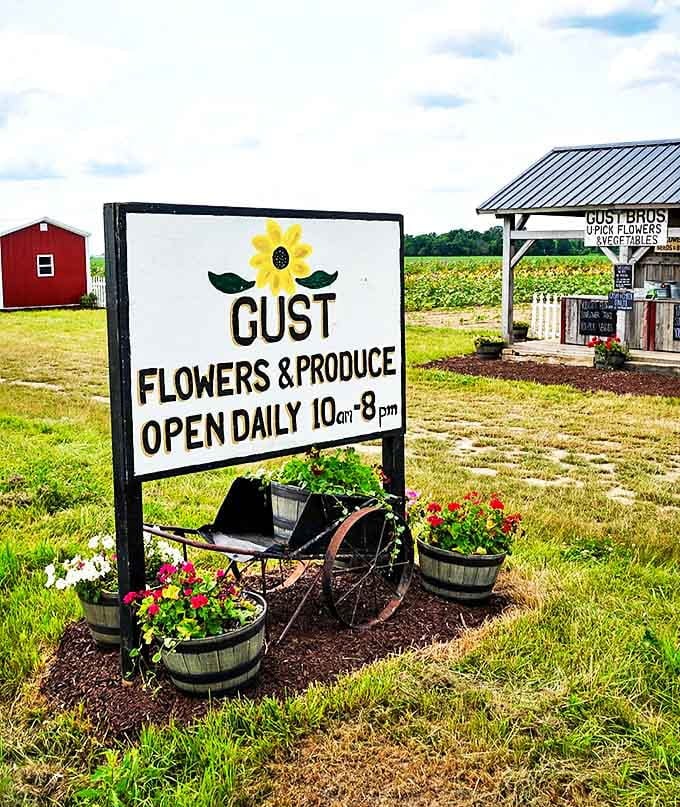 The welcoming entrance to Gust Flower and Produce Farm promises fresh blooms and farm-fresh goodies just beyond the charming sign.