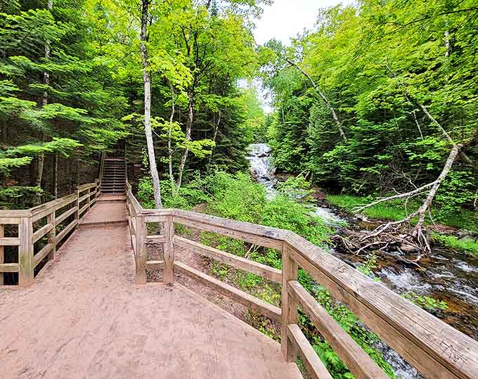 A wooden boardwalk invites you deeper into the forest, with the promise of rushing water just around the bend.