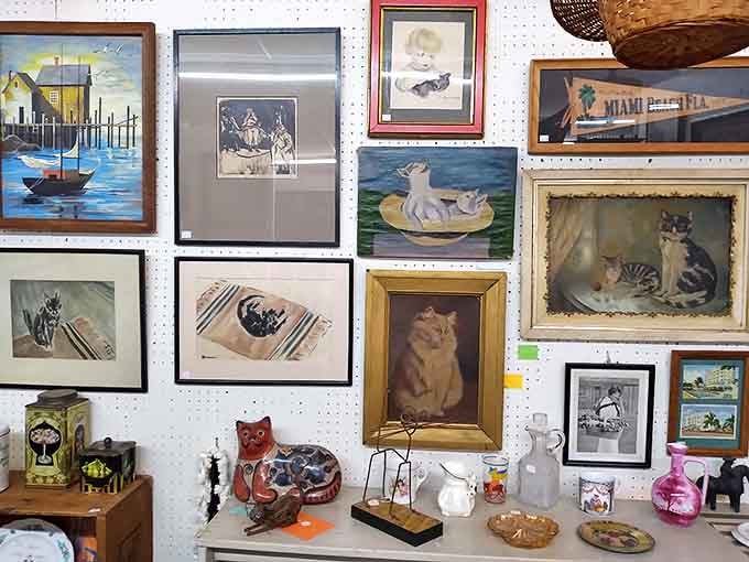 Cat portraits and maritime scenes create a gallery where someone else's memories become your next conversation piece.