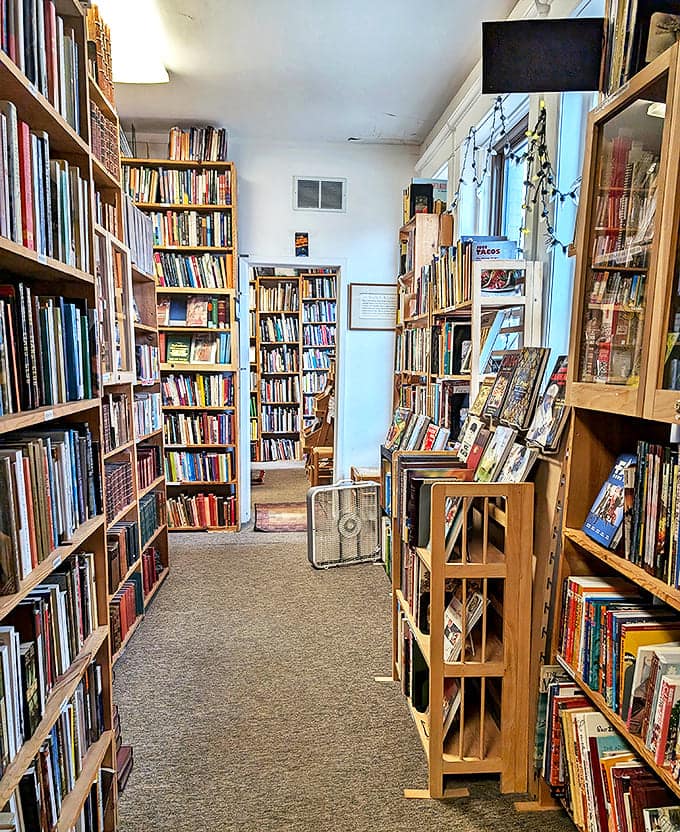 The main artery of the bookstore's circulatory system, where browsers stand shoulder-to-shoulder with decades of published wisdom.