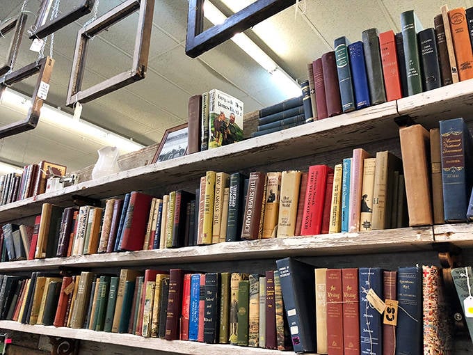 Literary treasures stacked floor to ceiling &ndash; where first editions hide among paperbacks and every shelf holds someone's next favorite discovery.