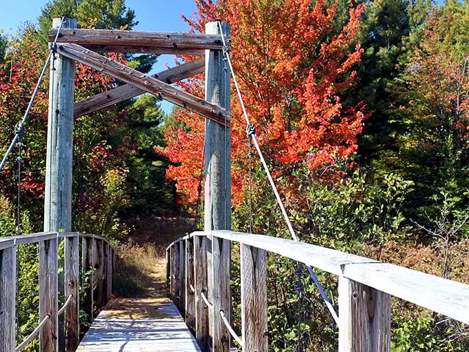 Fall transforms the bridge into a gateway to autumn magic, with maple trees showing off their fiery fashion sense.