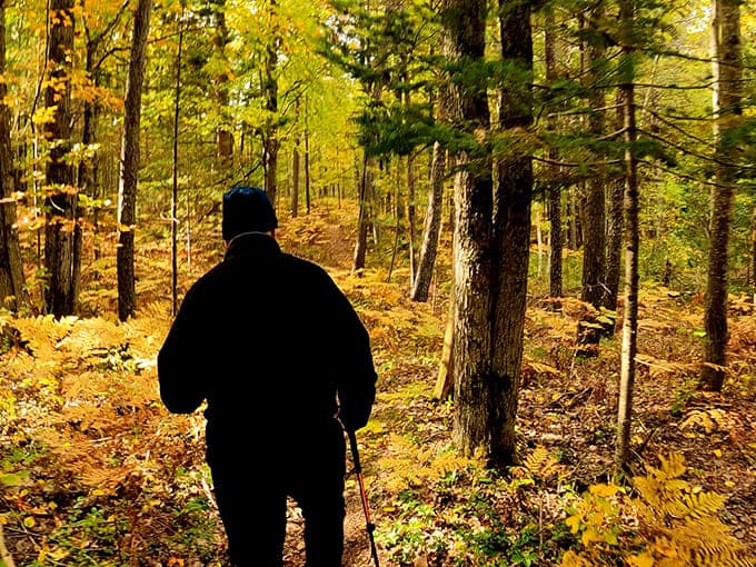 Castle Rock's trailhead promises views worth the climb, assuming your knees are still on speaking terms with stairs.