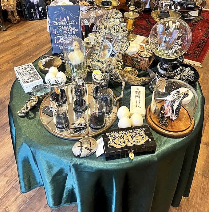 This emerald-draped altar table showcases preserved specimens under glass domes – nature's wonders transformed into conversation pieces for the brave decorator.